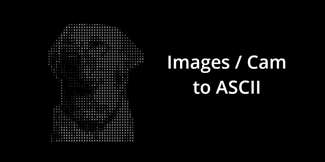 GitHub - BrunoCanongia/ascii-generator: Converts images and camera to ASCII