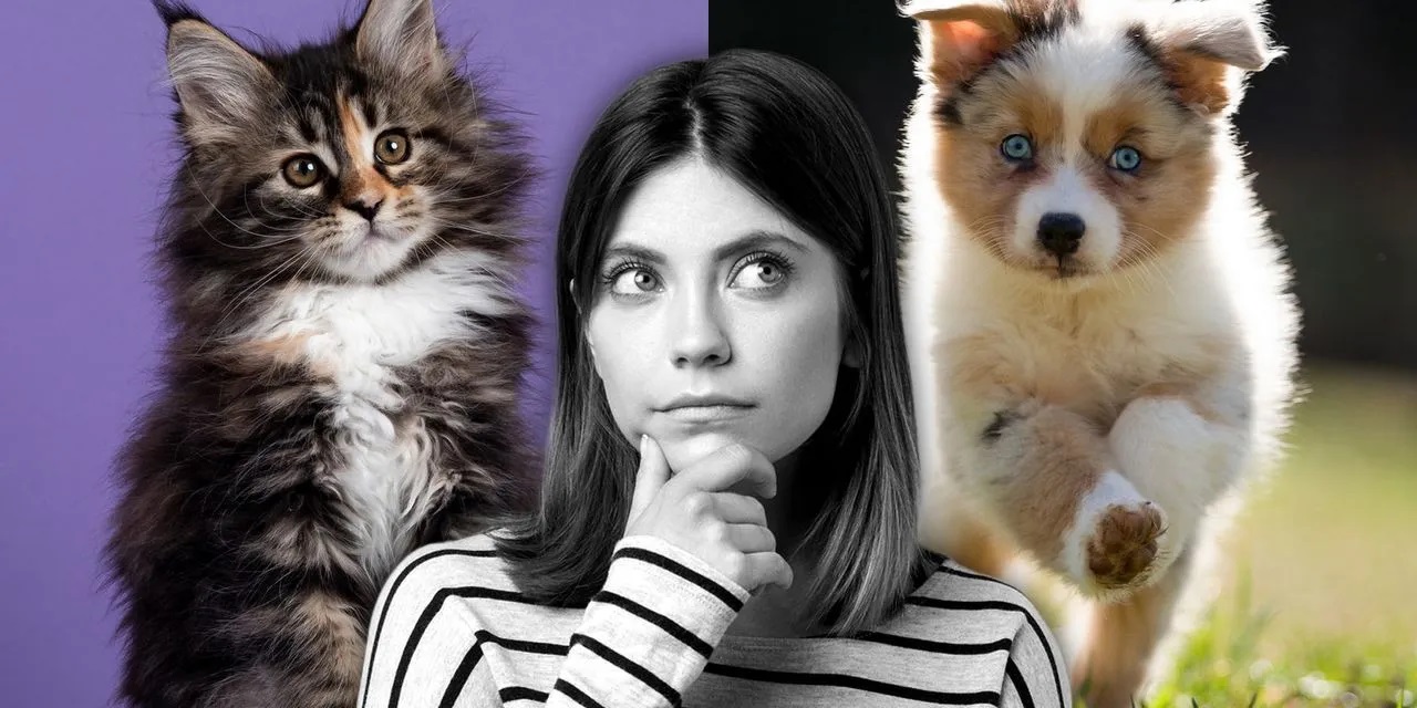 GitHub - iamSymbiote/Tindog