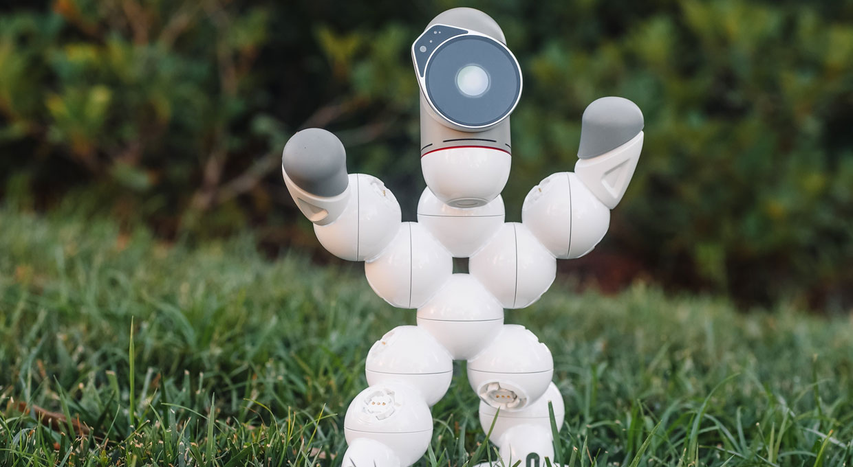 GitHub - bharat-patodi/munchster: A Discord bot