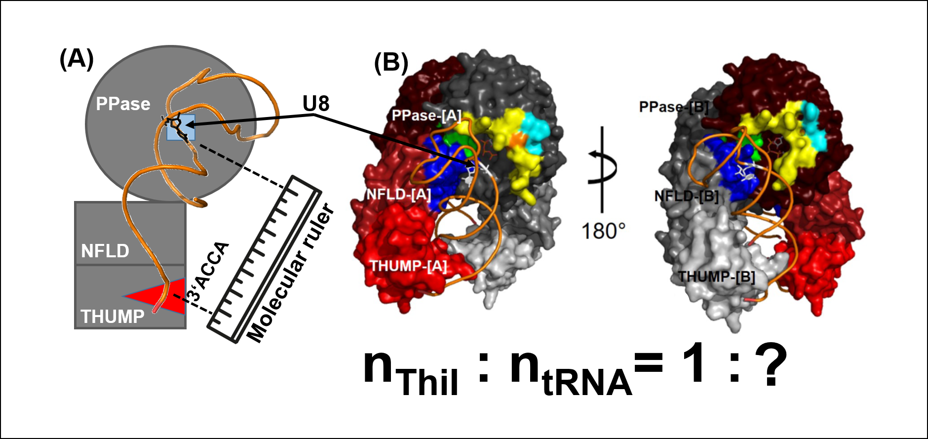 GitHub - dennistwe/masterthesis: Contains the complete statistical ...