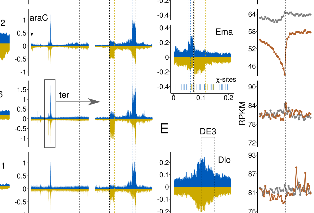 GitHub - AlekseiAgapov/5pAgos: This set of scripts was used for small ...