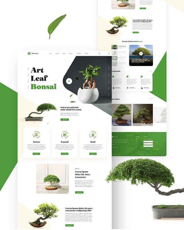 GitHub - Kemmy-V8/bootstrap-website