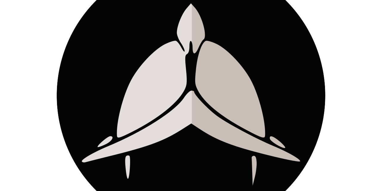 GitHub - cyber-defence-campus/morion: Morion is a PoC tool to experiment with symbolic execution ...