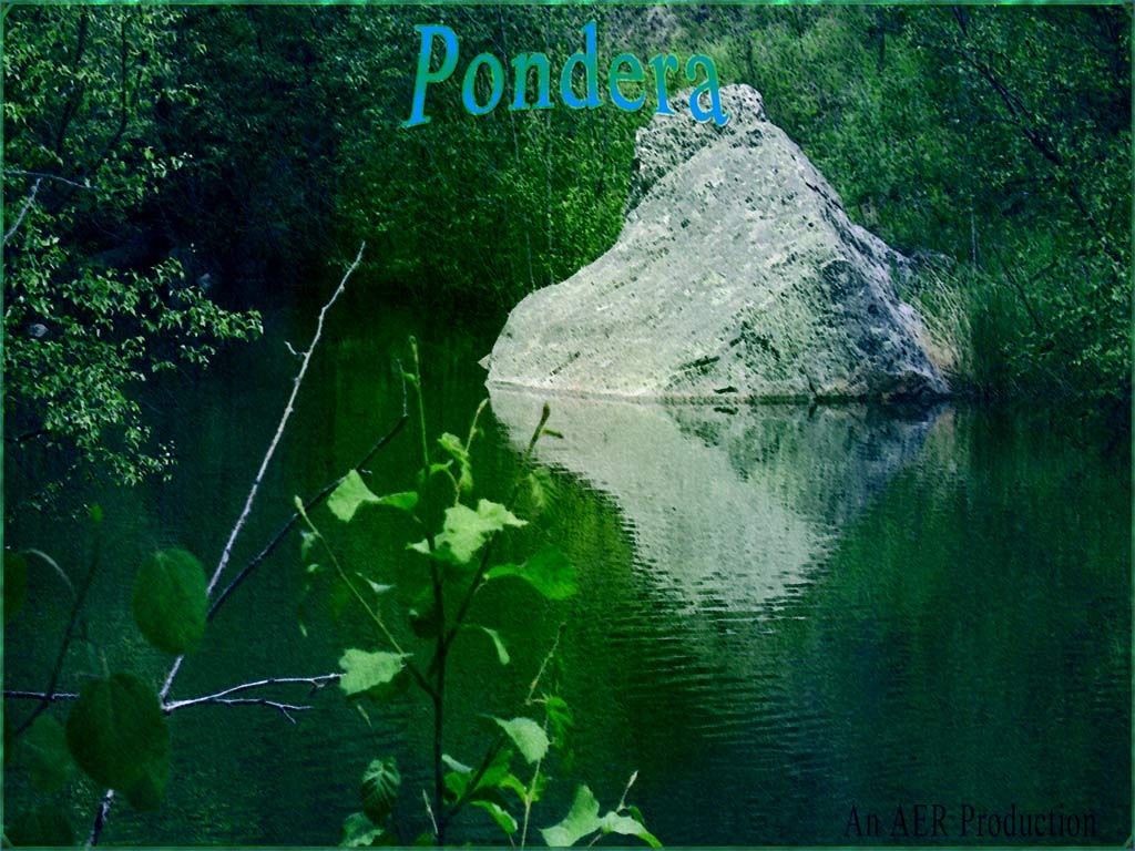 GitHub - AERProductions/Pondera: Pondera Public Development