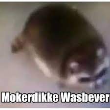 Github Leondehaas Leon Leon