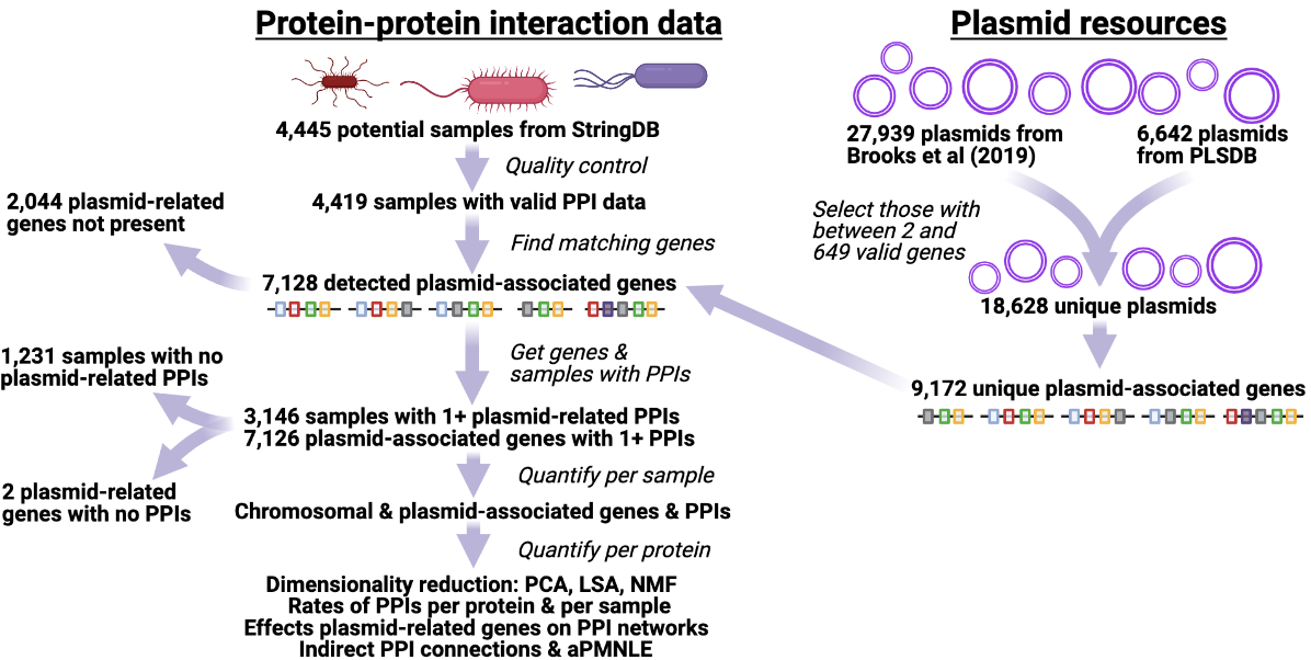 GitHub - downingtim/mobilome_2022: we examine the incidence and protein ...