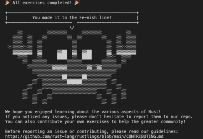 GitHub - aidylka/rustlings-solutions: Solutions! Small exercises to get ...