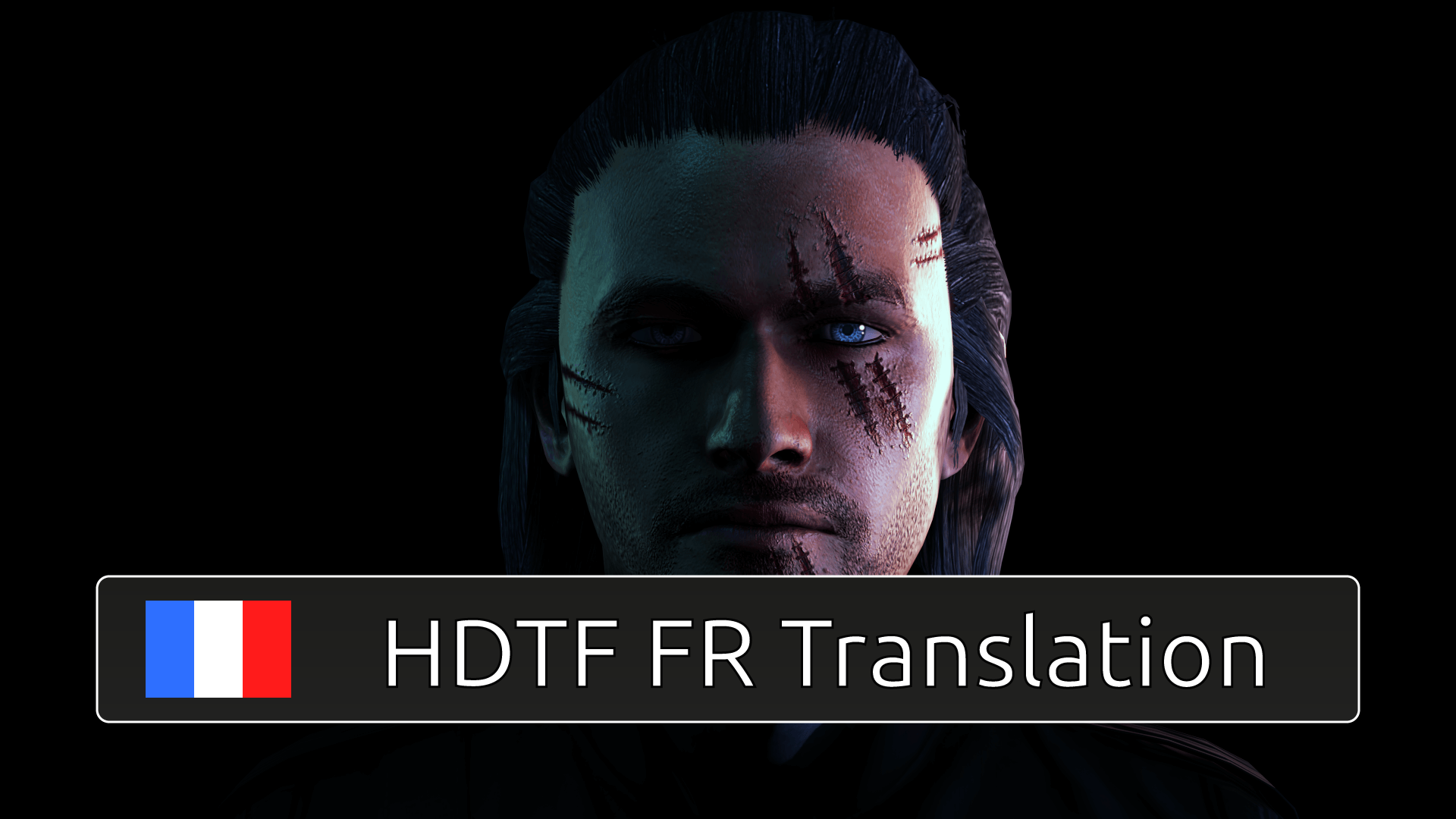 GitHub - AlexEatDonut/hdtf_fr_localization: French Subtitles for Hunt ...