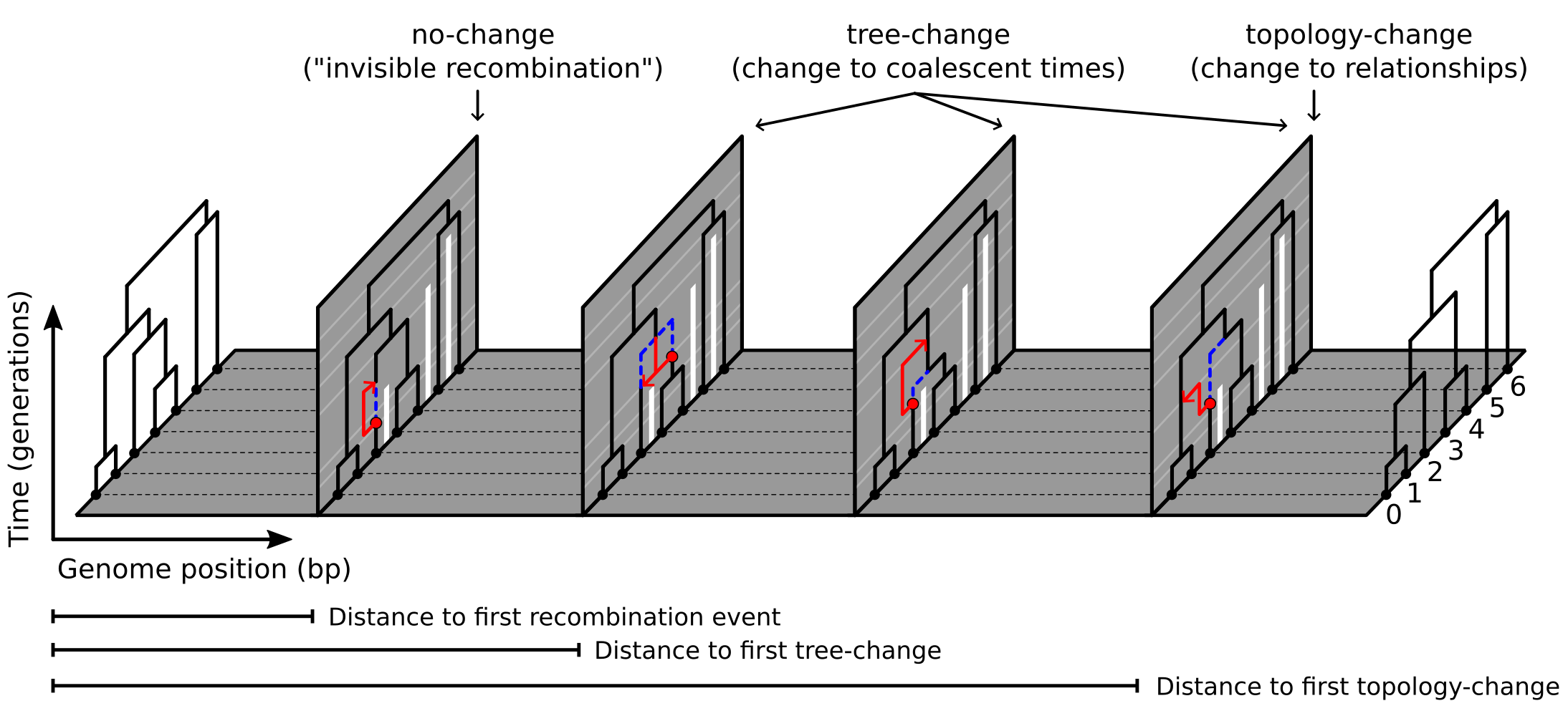 GitHub - eaton-lab/waiting-distances: Manuscript and reproducible notebooks for waiting-times ...
