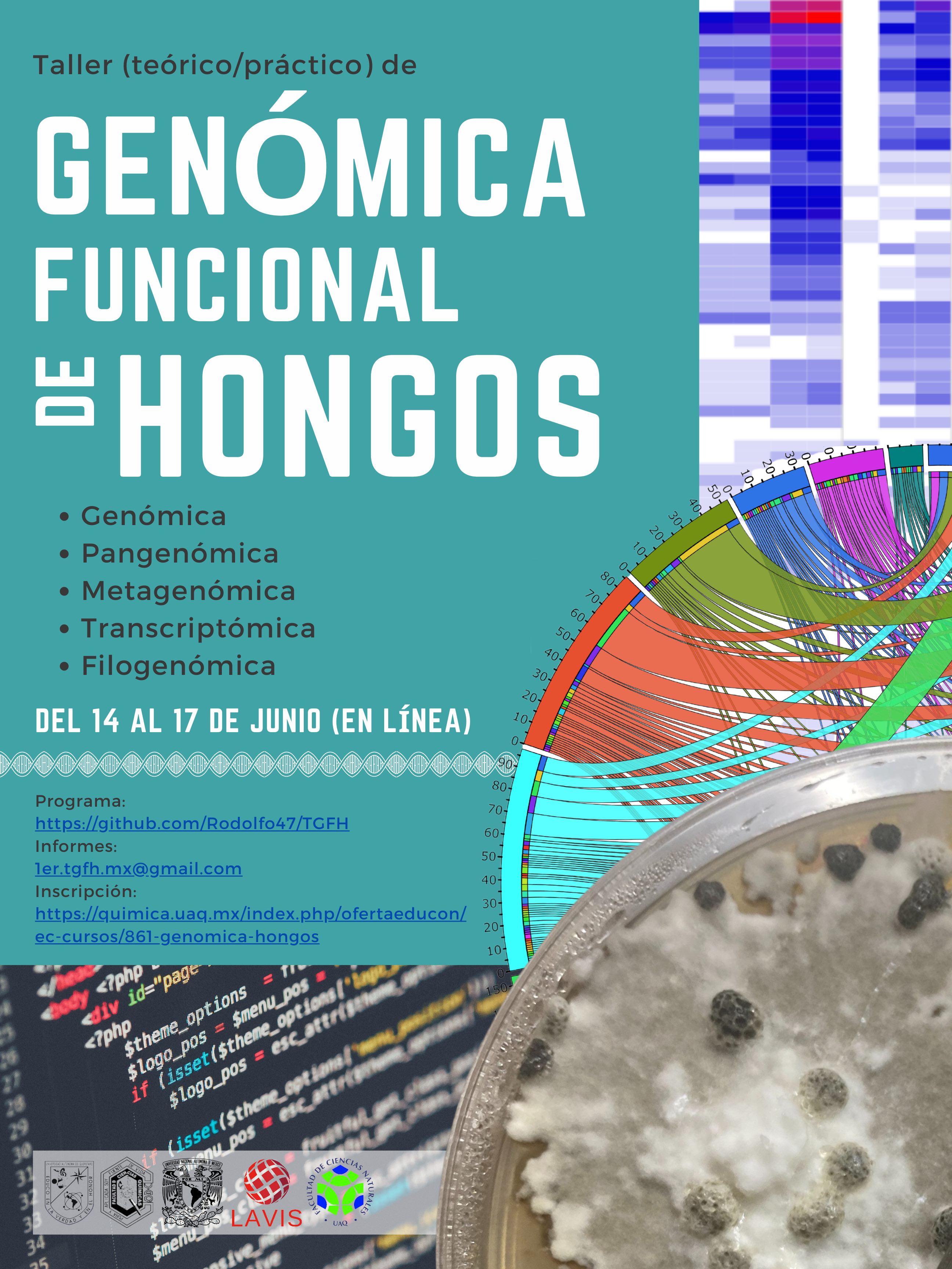 TGFH/Sesion1/Comandos_utiles.md at master · Rodolfo47/TGFH · GitHub