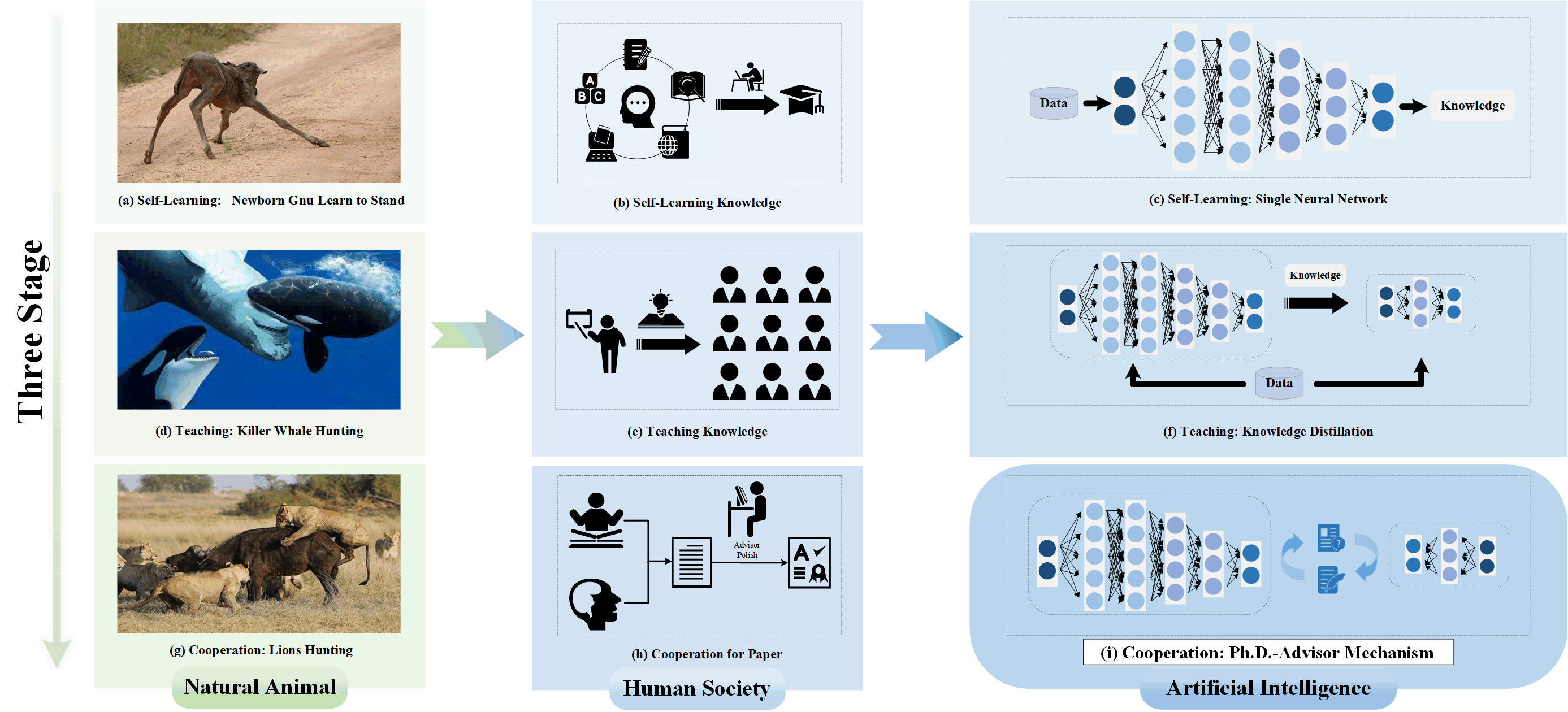 Github Lchjphd Advisor Pytorch This Is A Pytorch Implementation For The Experiment Of Our
