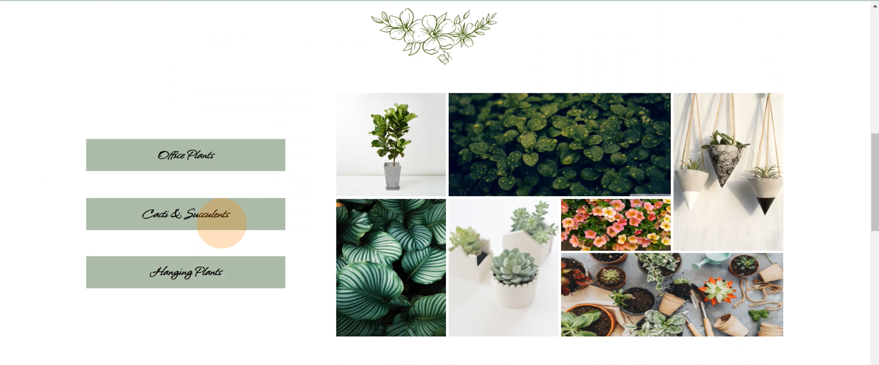 GitHub - namhazover9/Plant-Boutique-website: An e-commerce website ...