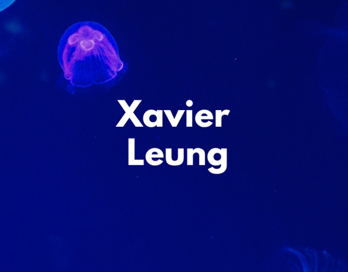 GitHub - Remember-Urinating-before-bed/Personal-Website: Personal Website built with ReactJS