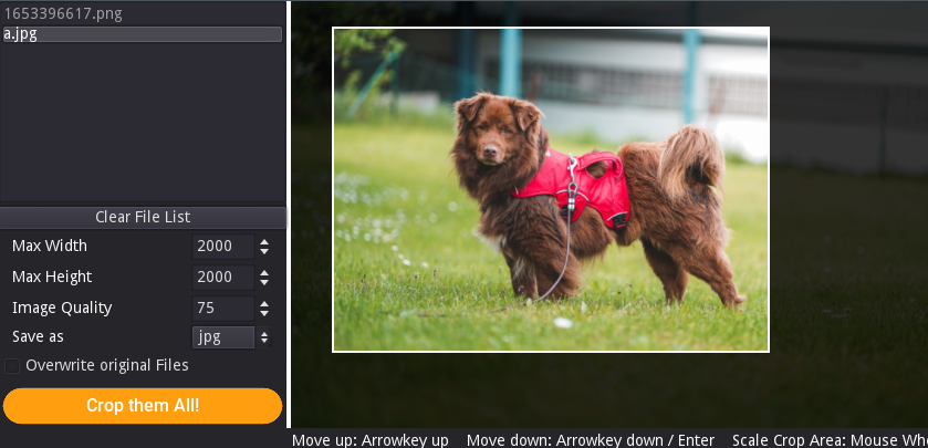 license · GitHub Topics · GitHub