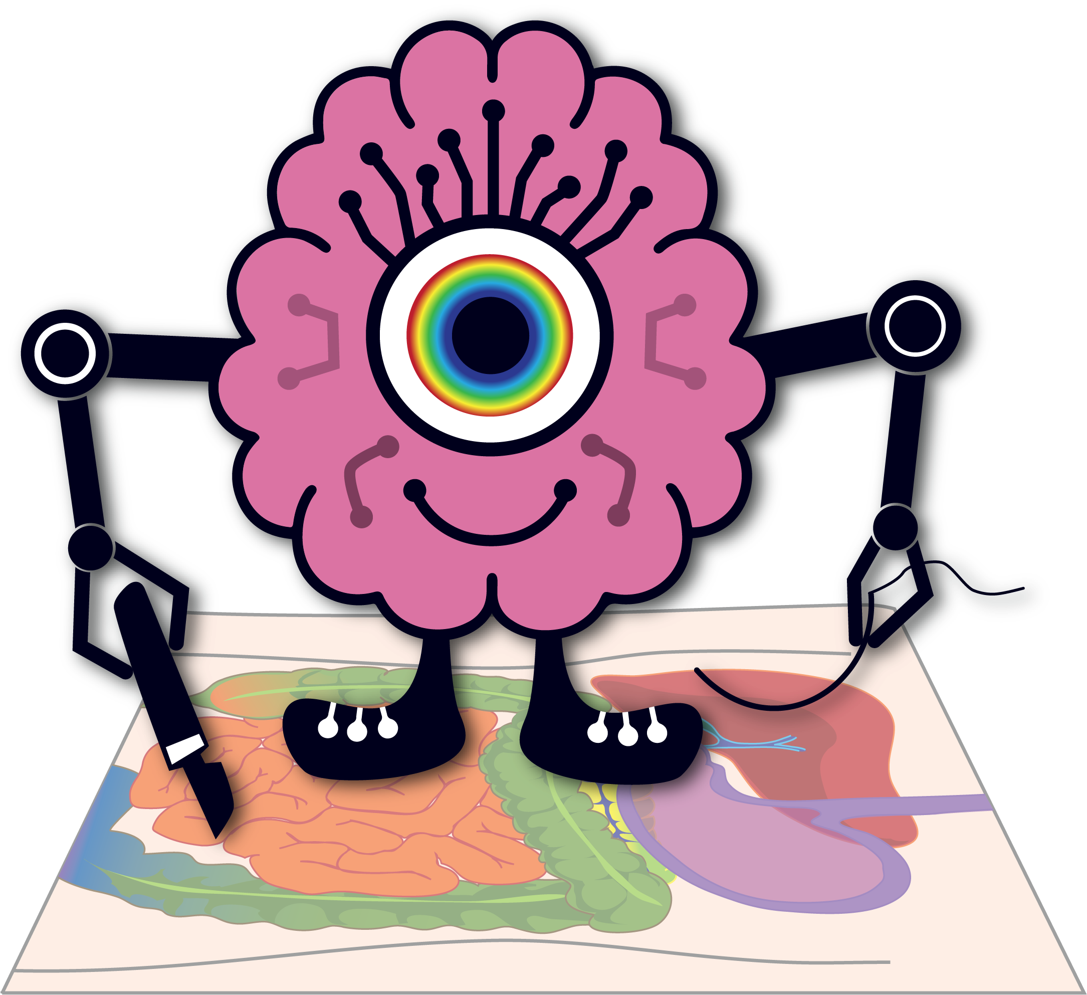 GitHub - IMSY-DKFZ/htc: Semantic organ segmentation for hyperspectral images.