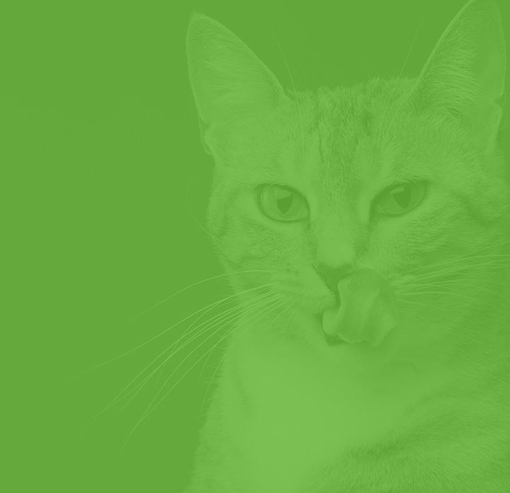 photoshop · GitHub Topics · GitHub