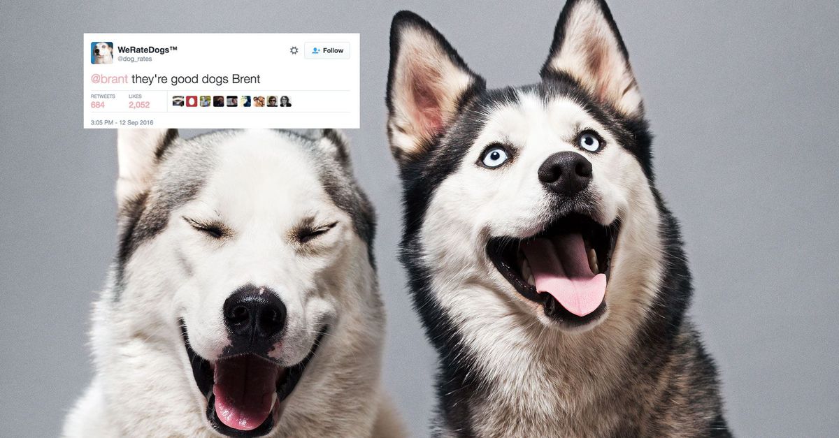 GitHub - Lippins/WeRaTeDogs-Analysis