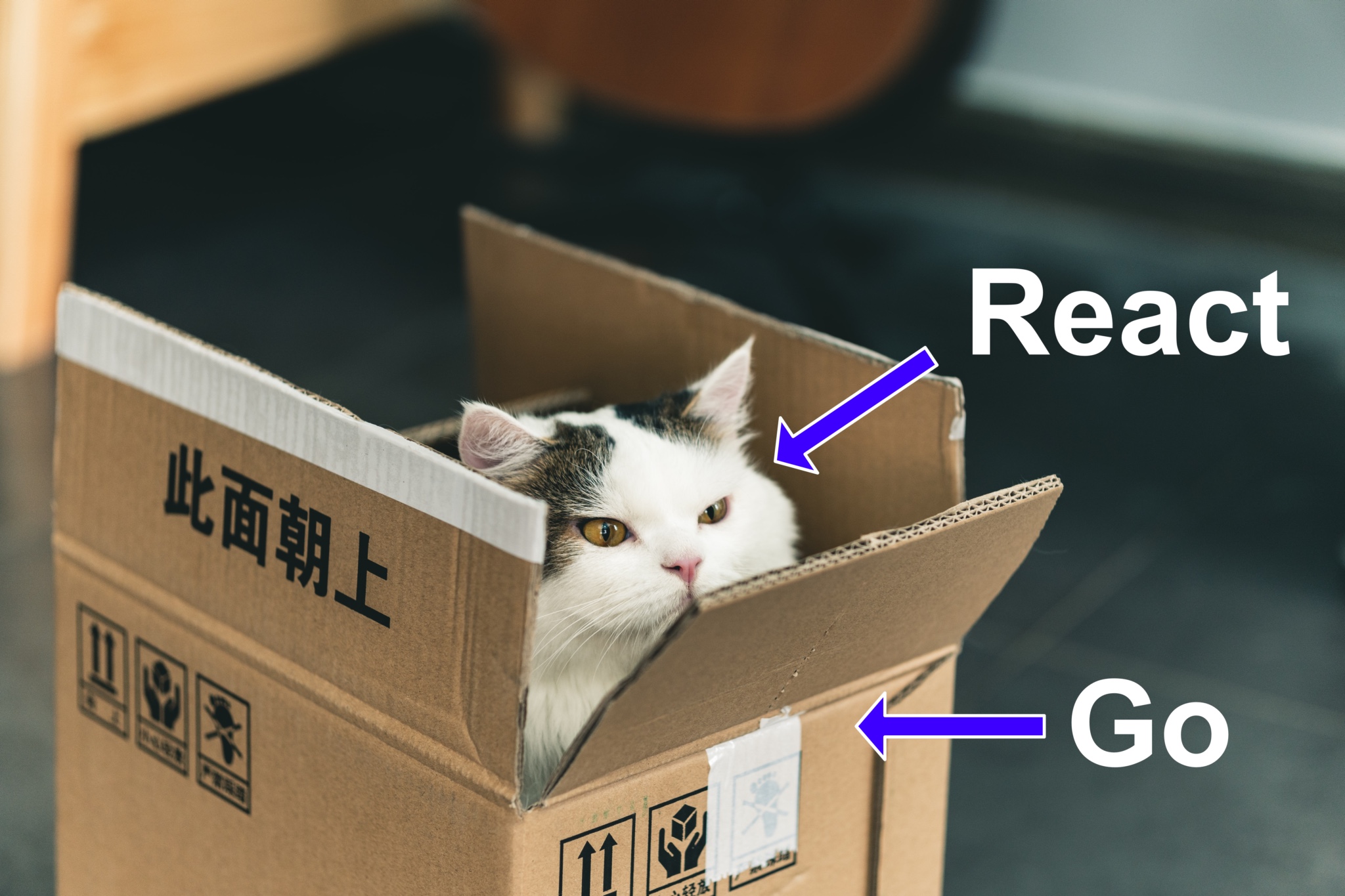 GitHub - pencil/react-go-embed: This is an example repository demonstrating how to embed a React ...