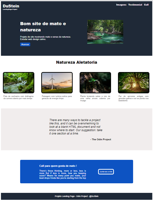GitHub - dustein/odin-landing: Odin Project - Landing Page exercise