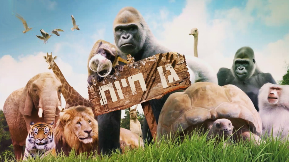 Github Ofirsh124 Rollback