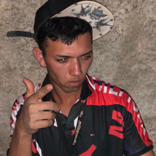 GitHub - swagafera/gelo-agachado