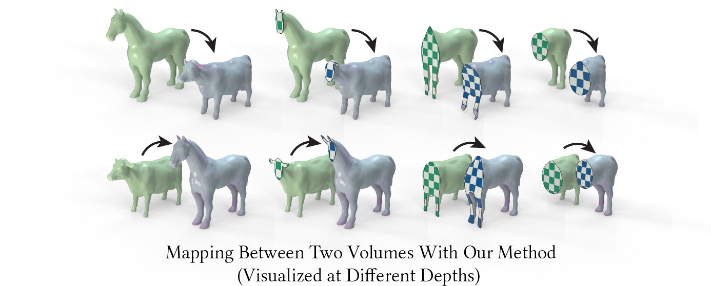 GitHub - mabulnaga/symmetric-volume-maps: Source code for "Symmetric Volume Maps" paper ...