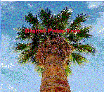 GitHub - hpelijS/animated-palm-tree-number-1