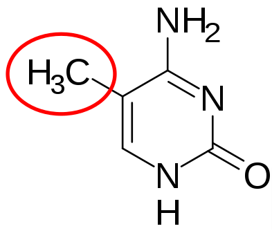 GitHub - icbi-lab/meRanTK: methylated RNA Tool Kit