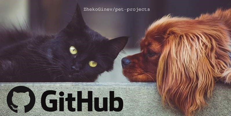 GitHub - ZhekoGinev/pet-projects: The place where funky little programs ...