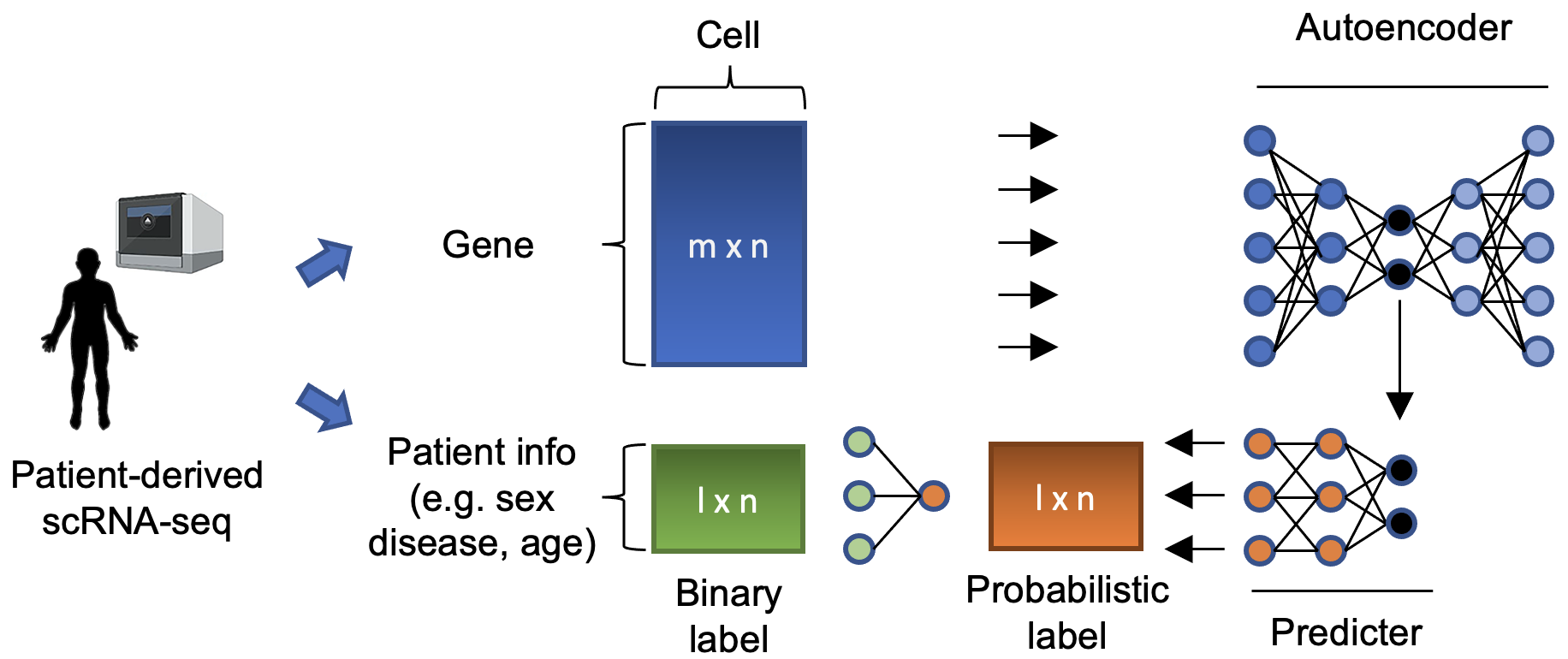 patient-data-analysis · GitHub Topics · GitHub