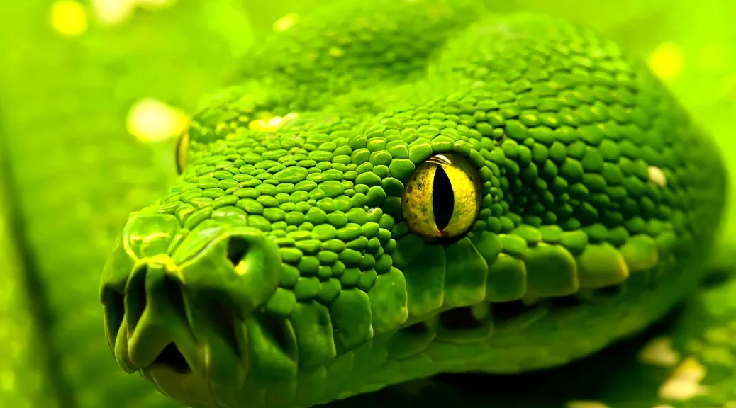 GitHub - Ant1sec-ops/offensive-python-scripts: Offensive python scripts ...