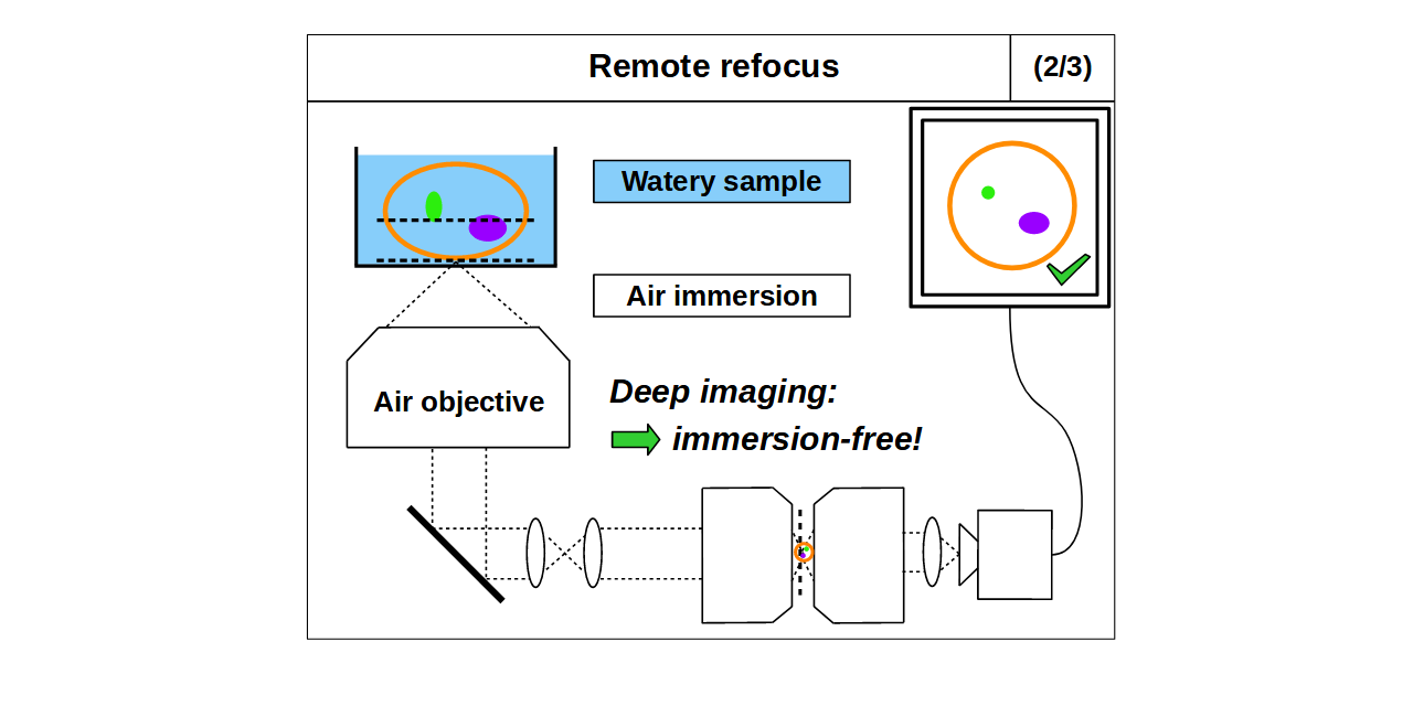 GitHub - amsikking/any_immersion_remote_refocus_microscopy: Research ...