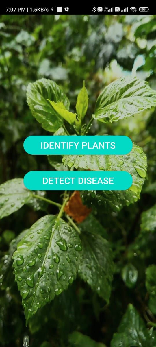 GitHub Indskgit Plant Disease And Plant Identification Android App 