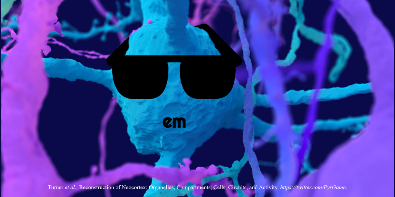 GitHub - JackieZhai/awesome-vem-datasets: Open source volume electron ...