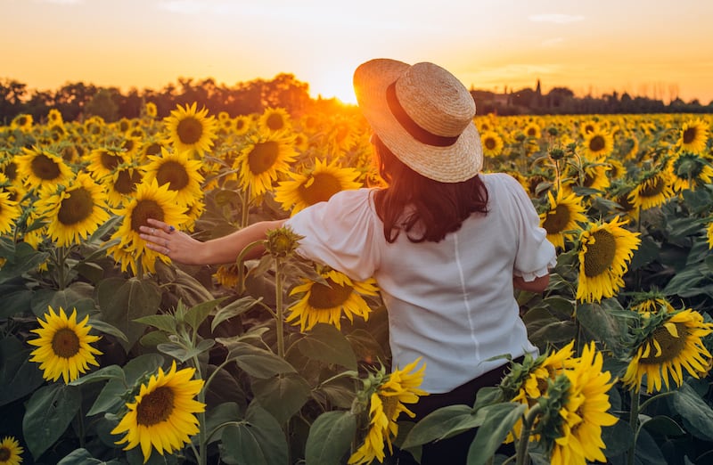 GitHub - veve-pinheiro/Agencia4S-Recode: Protótipo