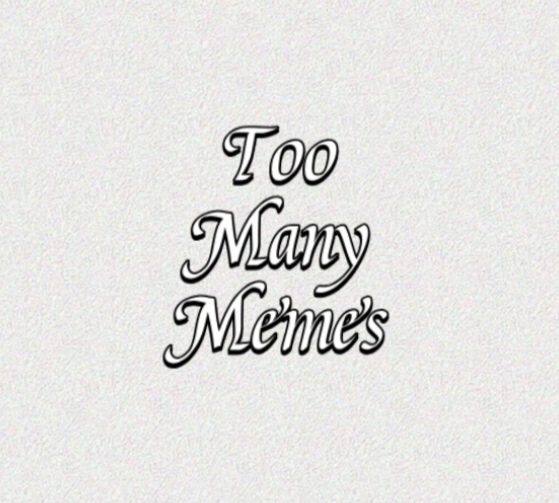 GitHub - gm6169/Too_Many_Memes: A minecraft fabric mod that adds too ...