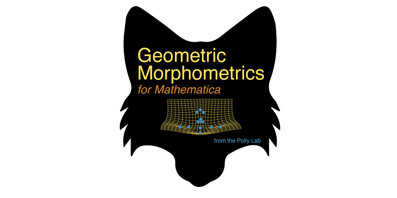 GitHub - pdpolly/Morphometrics-for-Mathematica: This Mathematica© add-on package performs common ...