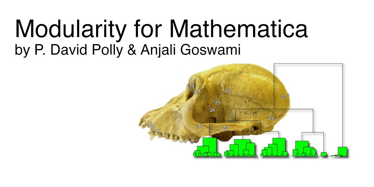 GitHub - pdpolly/Modularity-for-Mathematica: The basic component of ...