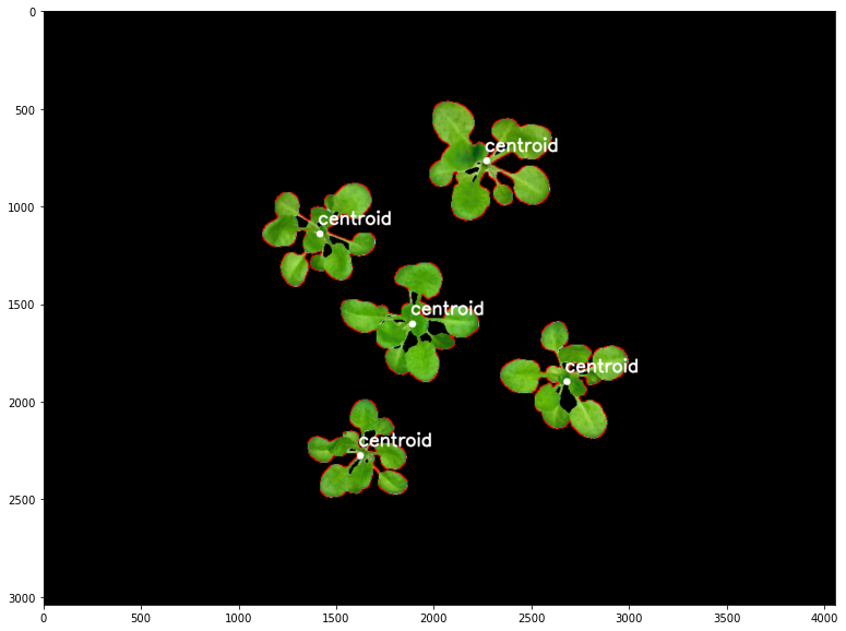 GitHub - halube/Phenomenon: Low-cost and automated phenotyping system ...