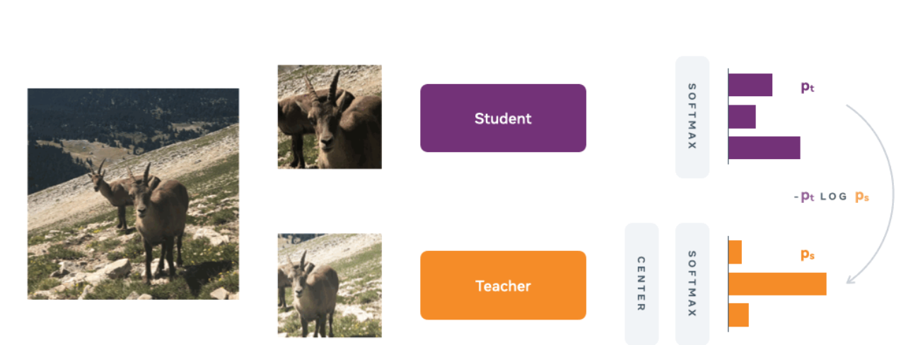 GitHub - lavallone/NN_project