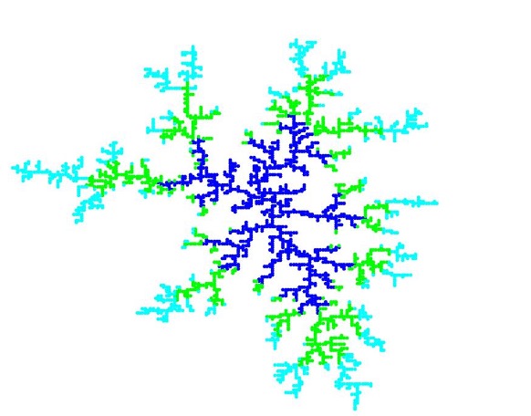 GitHub - claryrodz/diffusion-limited-aggregation: Diffusion-Limited Aggregation (DLA) algorithm ...