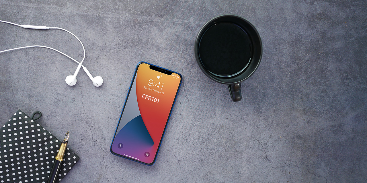 GitHub - alexchu-dev/CPR101-Final-Group-Project: This is the repo of the CPR101 Final Group Project