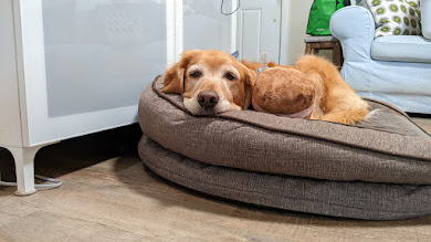 GitHub - RhythmicSys/RhythmicSys: it's me :eyes: