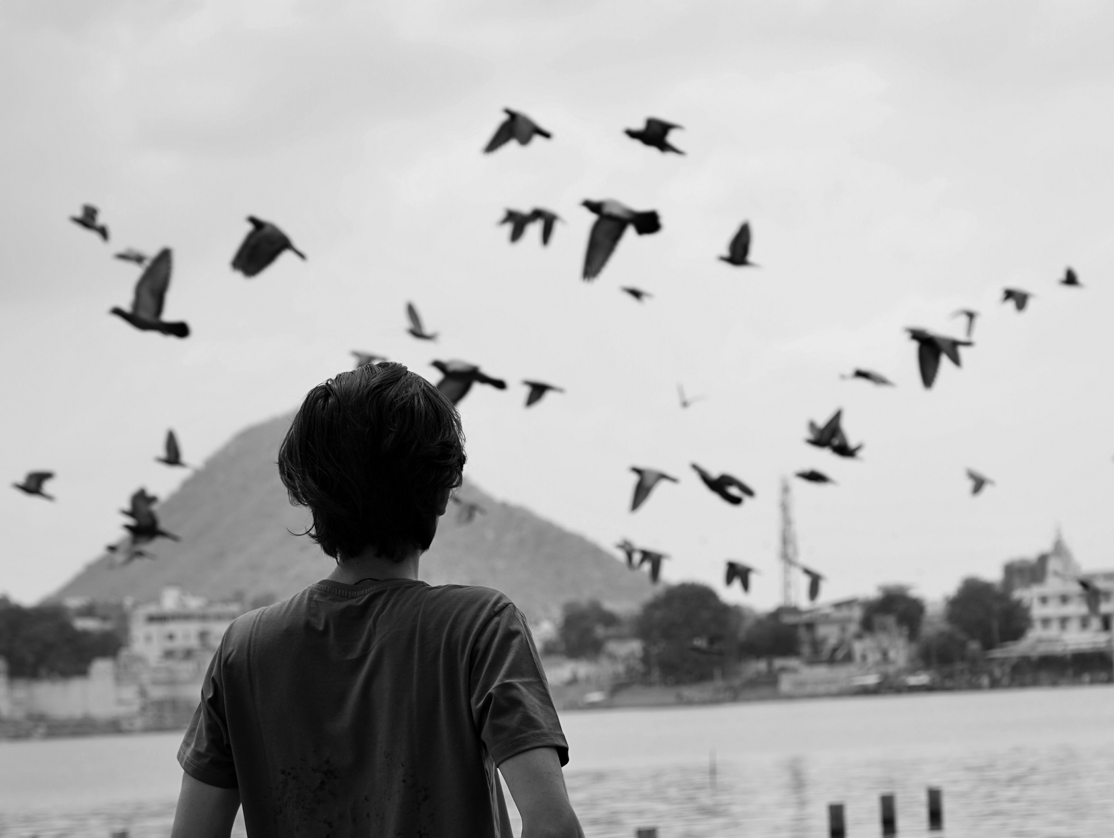 Github I Mj Basic Java