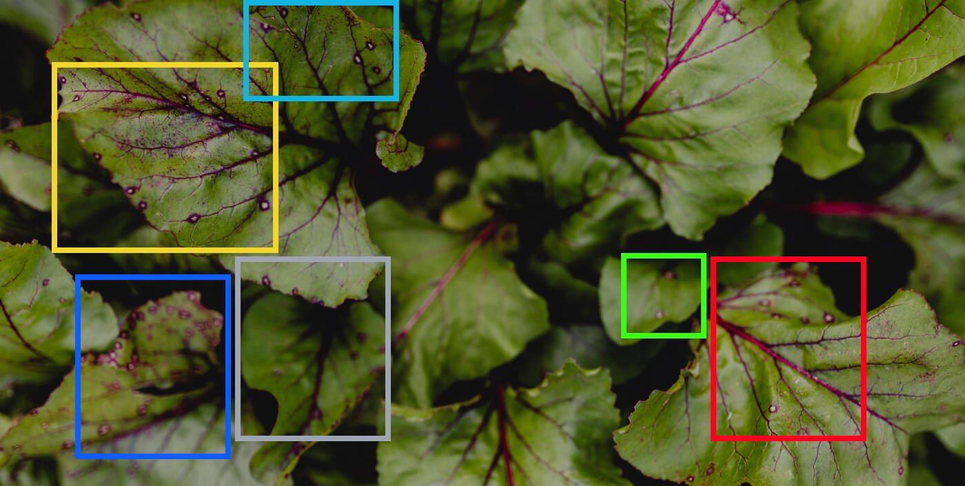 Releases Ahana roy plant disease prediction using flask GitHub