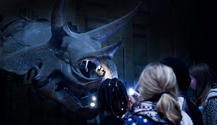 GitHub - CatonRat/trex1-photo