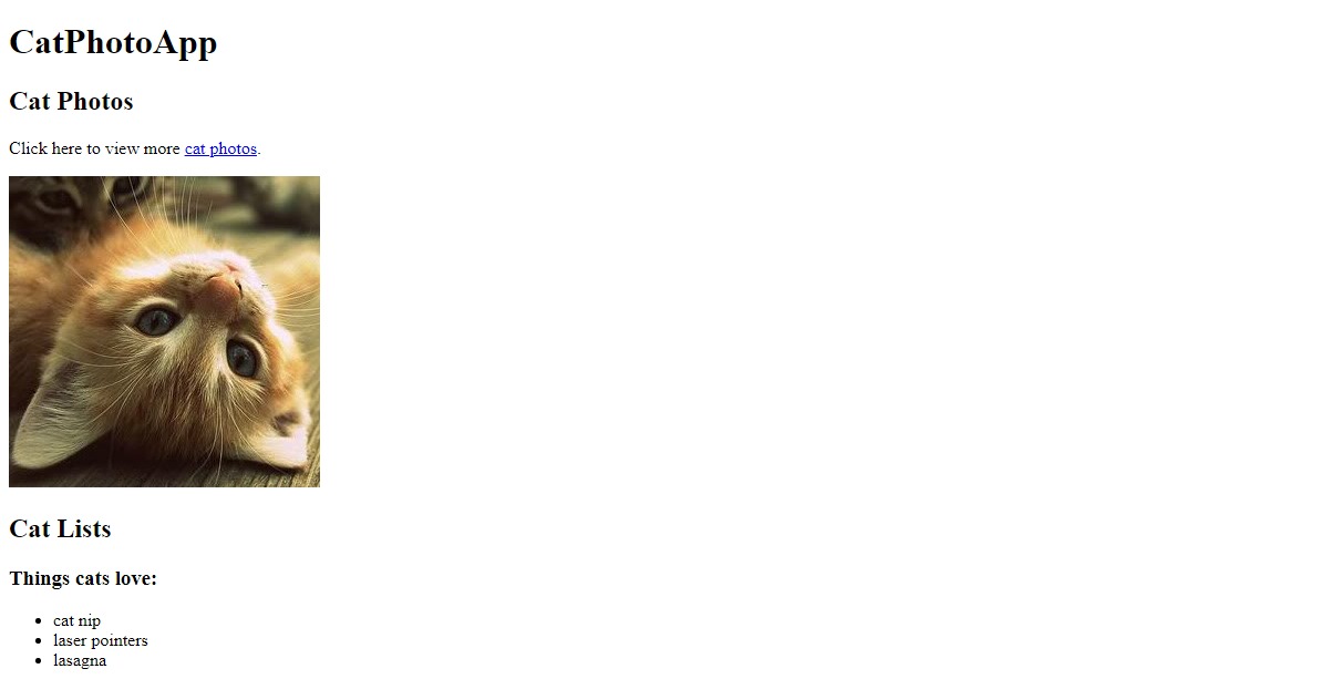 GitHub - miltonHenschel/Cat-Photo-App: Only HTML Codes
