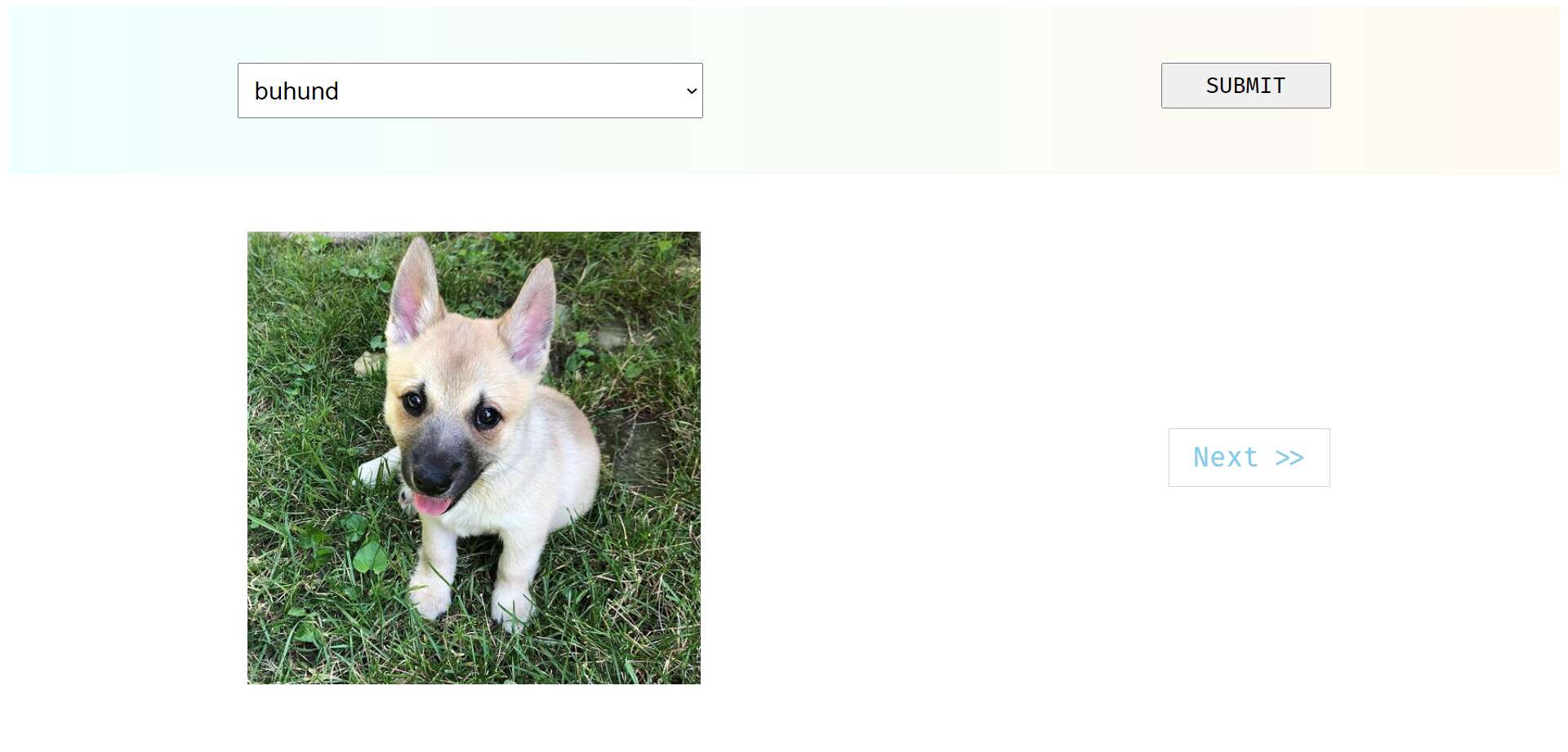 GitHub - Ayush-Kanduri/Fetch-Dog-Photos-Pagination: This project uses ...