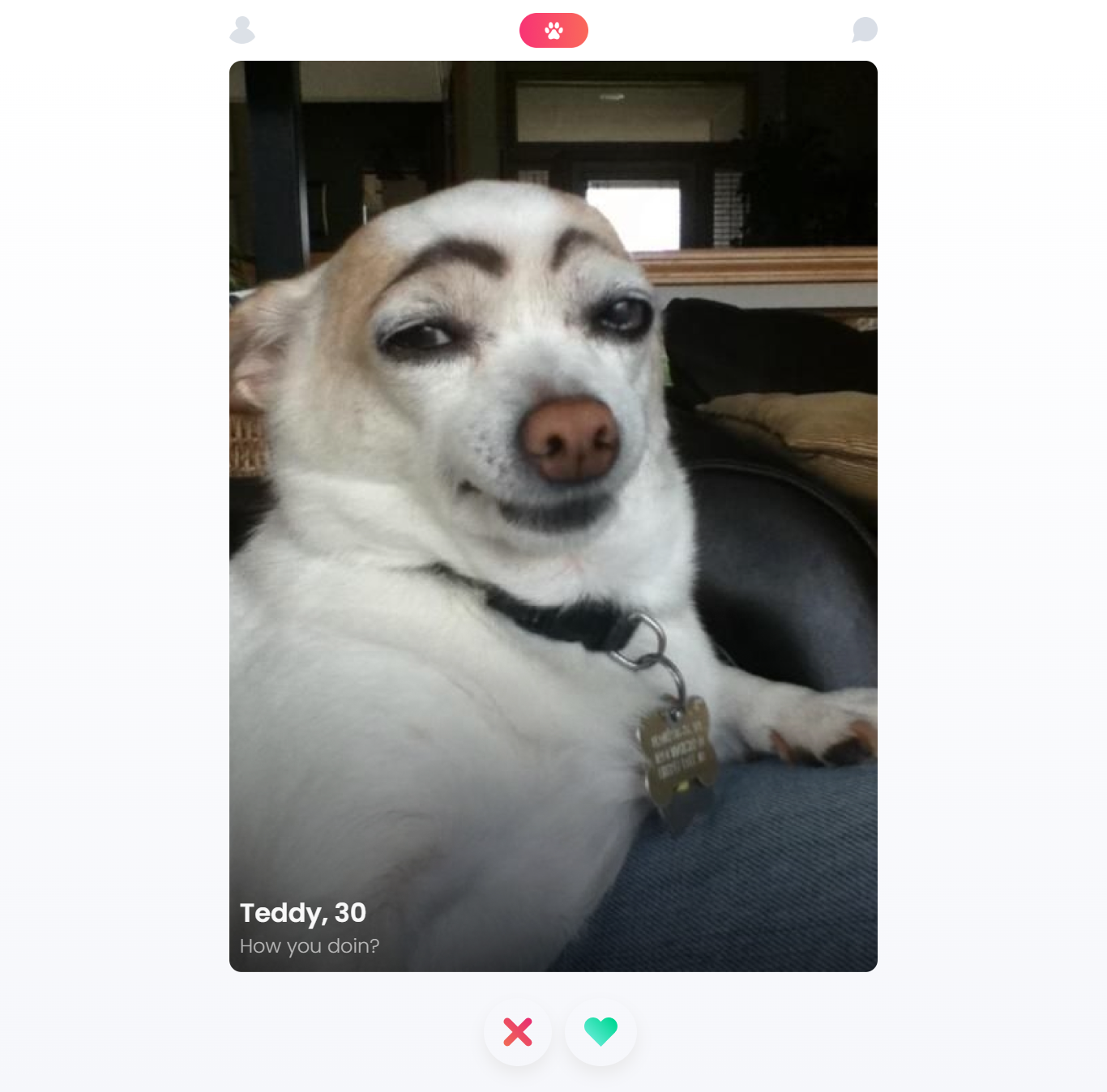 GitHub - Mudi-Igbinoba/Tindog: Tinder for Dogs. Built with JS and OOP GitHub - Mudi-Igbinoba/Tindog: Tinder for Dogs. Built with JS and OOP