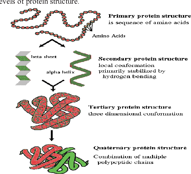 GitHub - AsifIkbal1/Keras-LSTM-model-for-secondar-structure-prediction ...